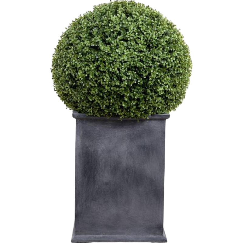 Boxwood Ball in Column Planter